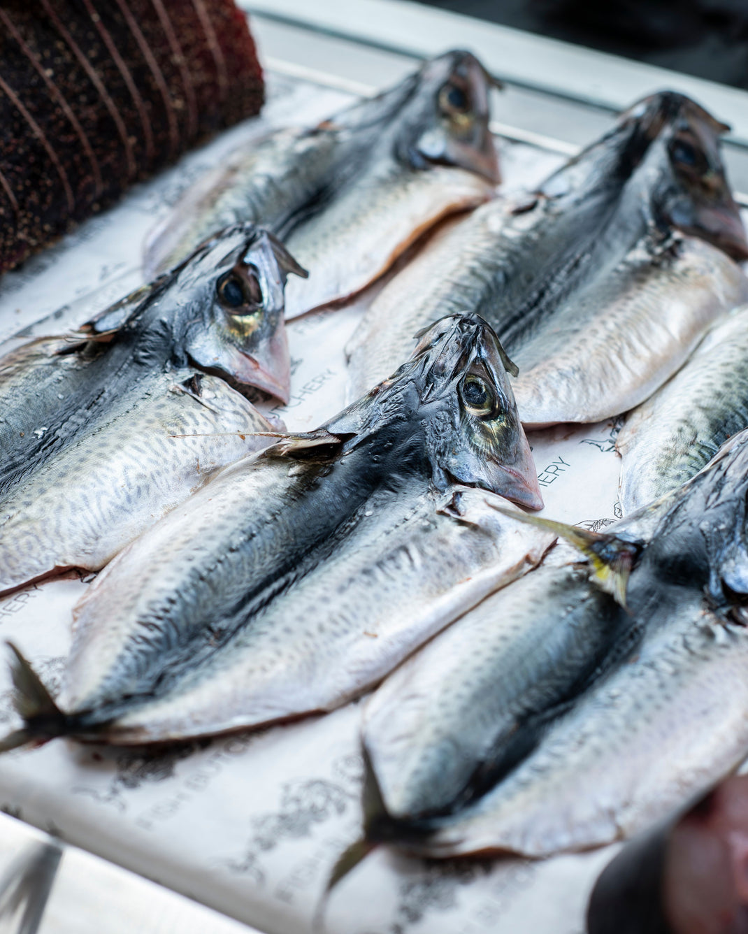 Fish Butchery – FISH BUTCHERY